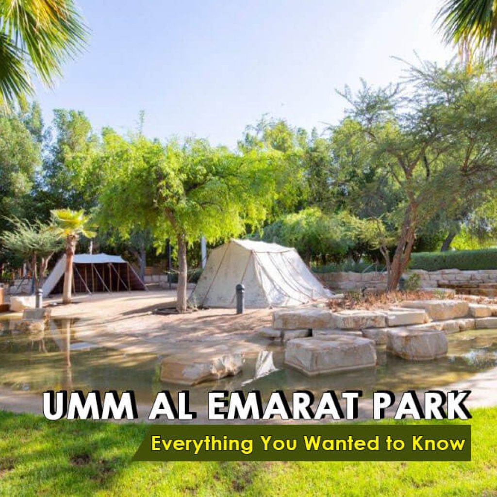 11 Cooler Places to Visit in Abu Dhabi During the Summer in 2024